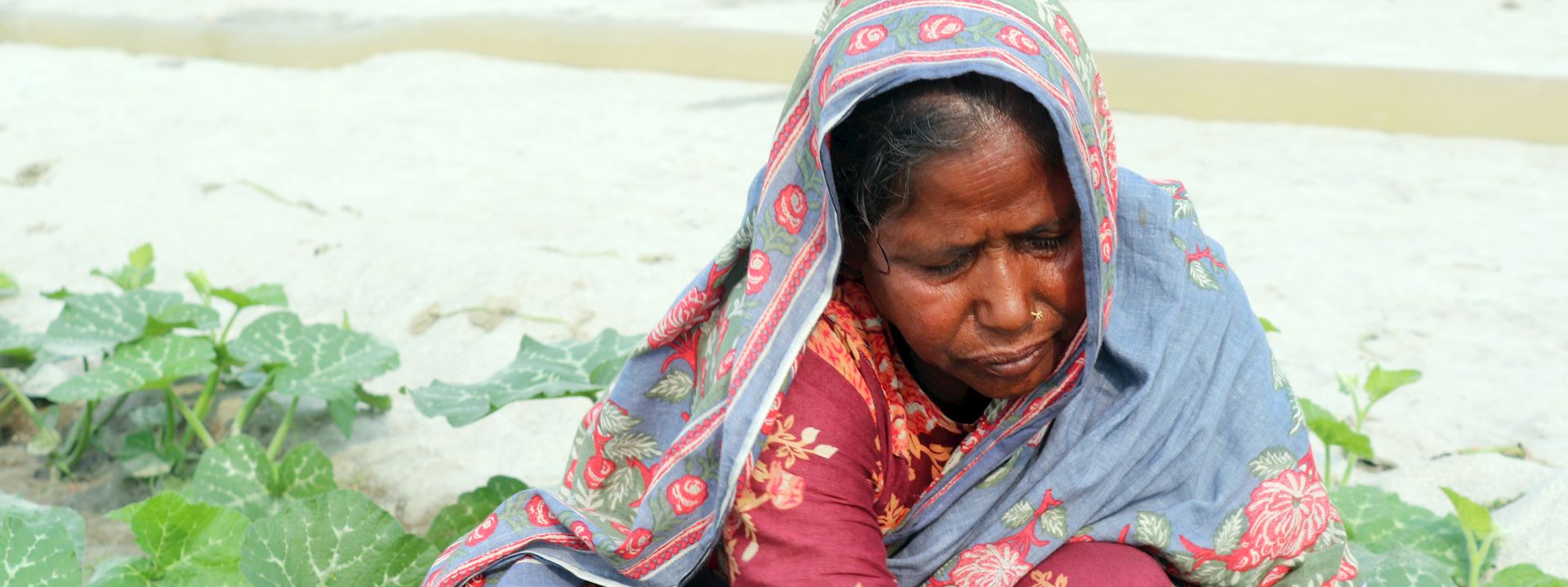 Livelihoods | Muslim Hands USA